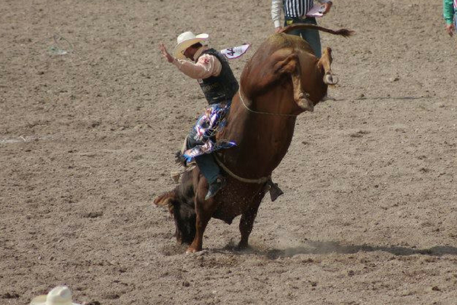 Bull Riding - Visit Lookout Mountain