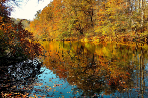 The Magnificent Season of Fall on Lookout Mountain