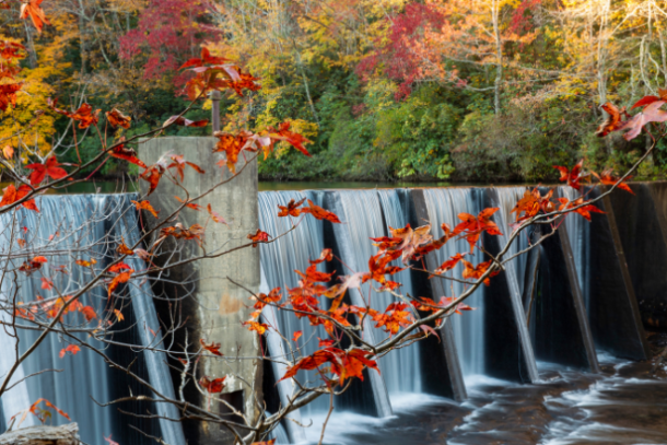 Autumn in DeKalb County: A Kaleidoscope of Colors