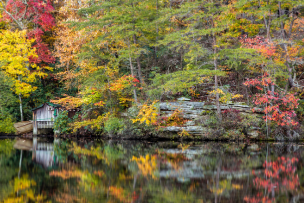 Autumn in DeKalb County: A Kaleidoscope of Colors