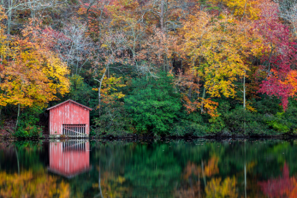 Autumn in DeKalb County: A Kaleidoscope of Colors