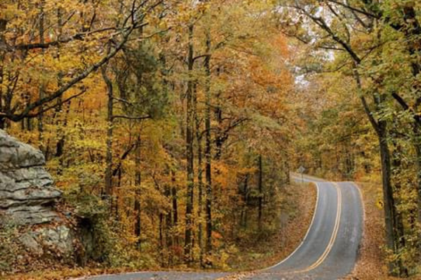 Autumn in DeKalb County: A Kaleidoscope of Colors