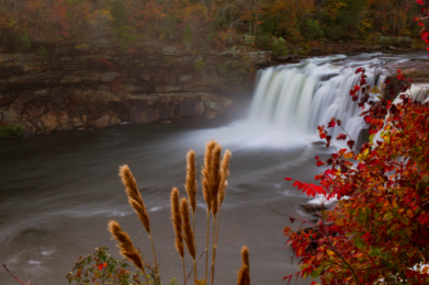Autumn in DeKalb County: A Kaleidoscope of Colors